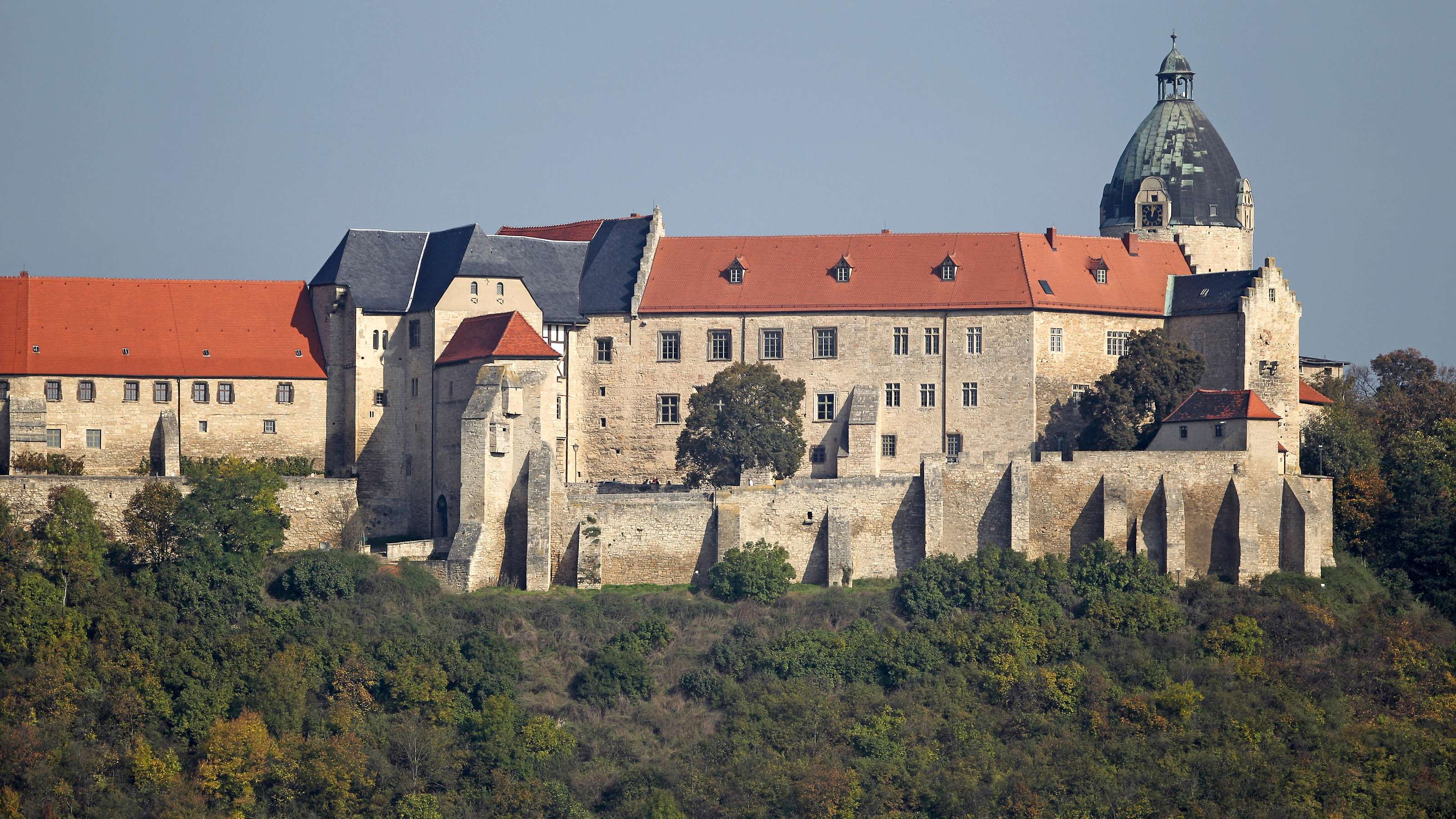 Öffentliches Gelöbnis in Freyburg